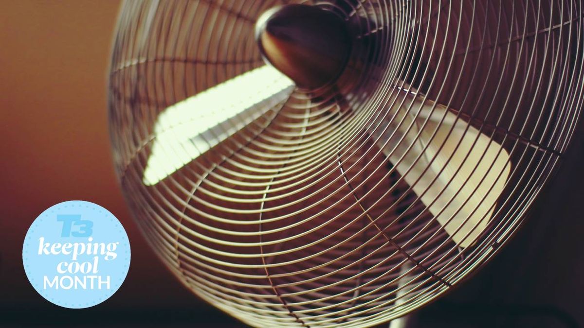 How to clean a fan: a step-by-step guide | T3