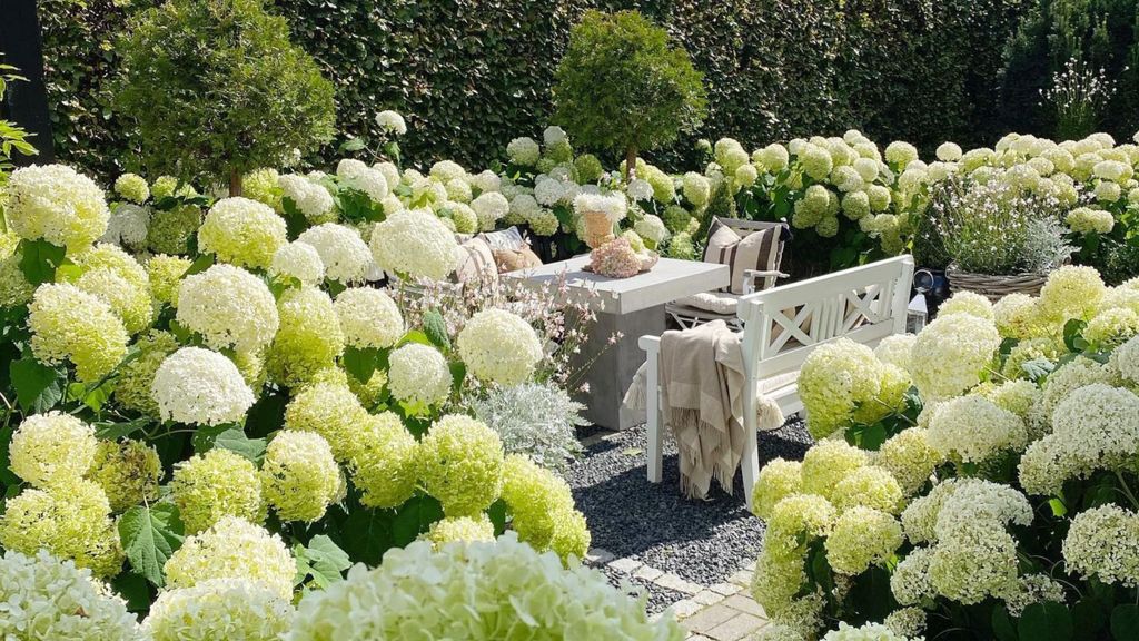 Bird bath mistakes to avoid: 8 common errors to avoid | Homes and Gardens