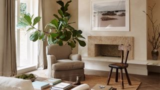 5 modern organic color schemes to instantly soothe your surroundings ...