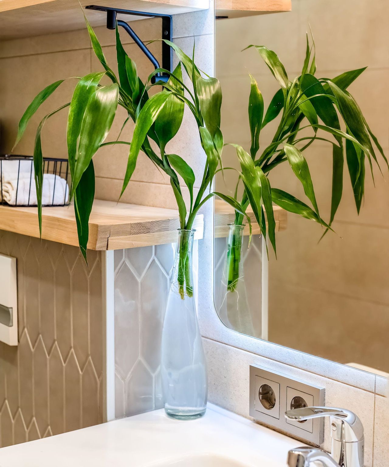 How to grow bamboo from cuttings in water: 3 simple steps | Homes and ...