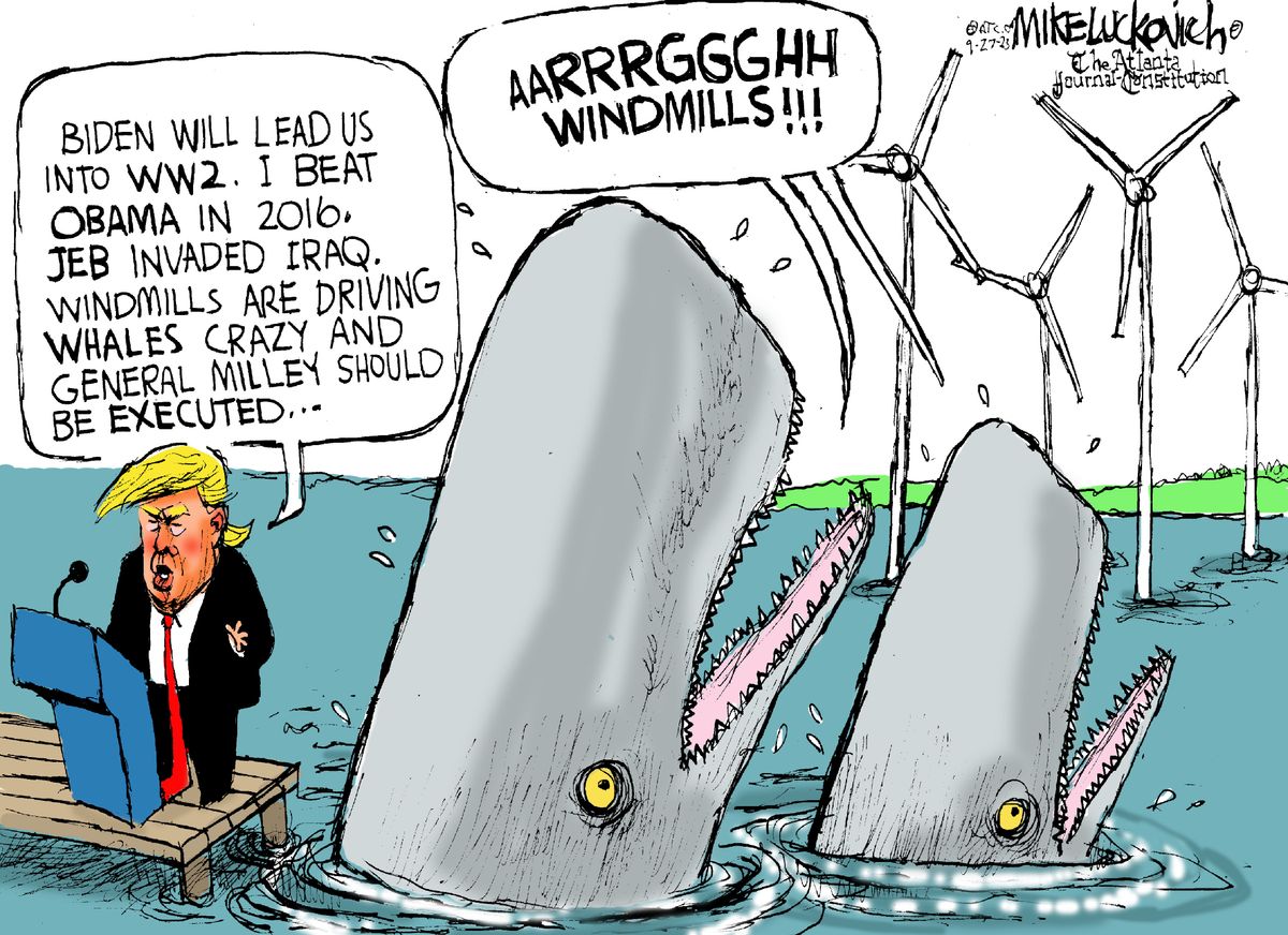 Windmill whales | The Week