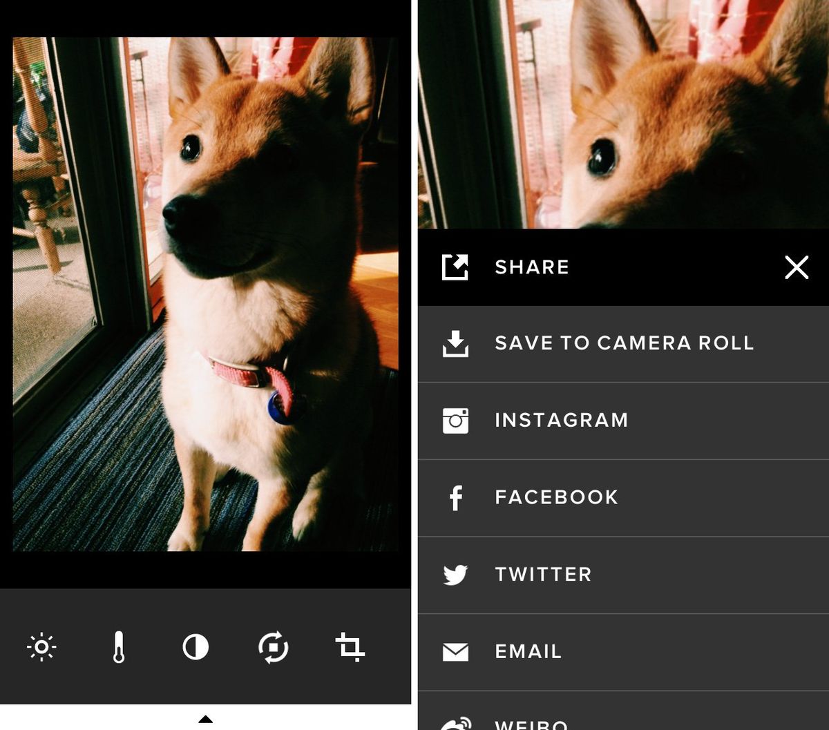 VSCO Cam for iPhone review: A perfect balance between ease of use and ...