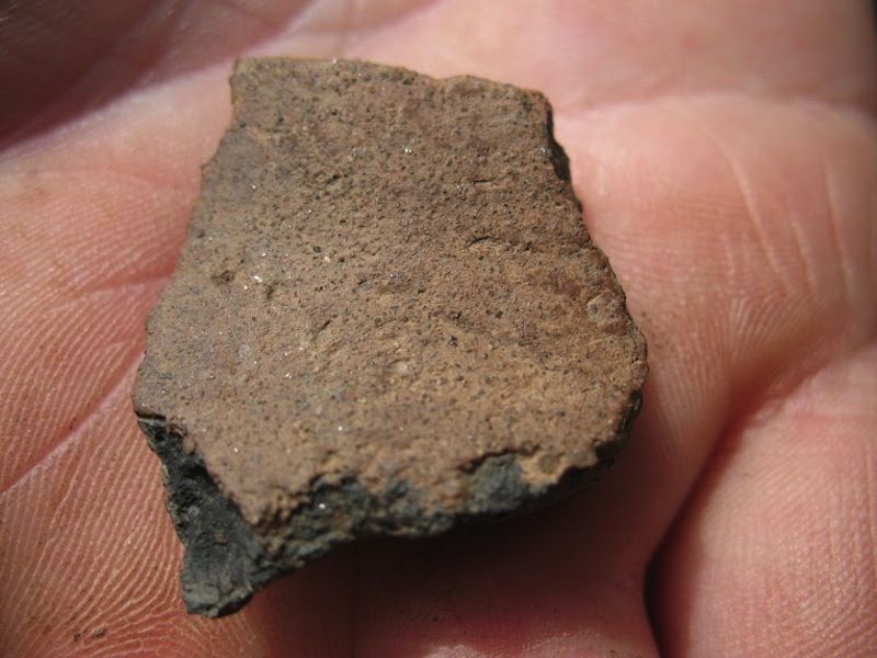 In Photos: Tracking the Devastating Impact of the Black Death | Live ...