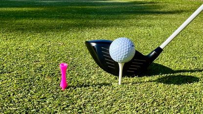 Is The Pink Castle Golf Tee The Perfect Choice? | Golf Monthly