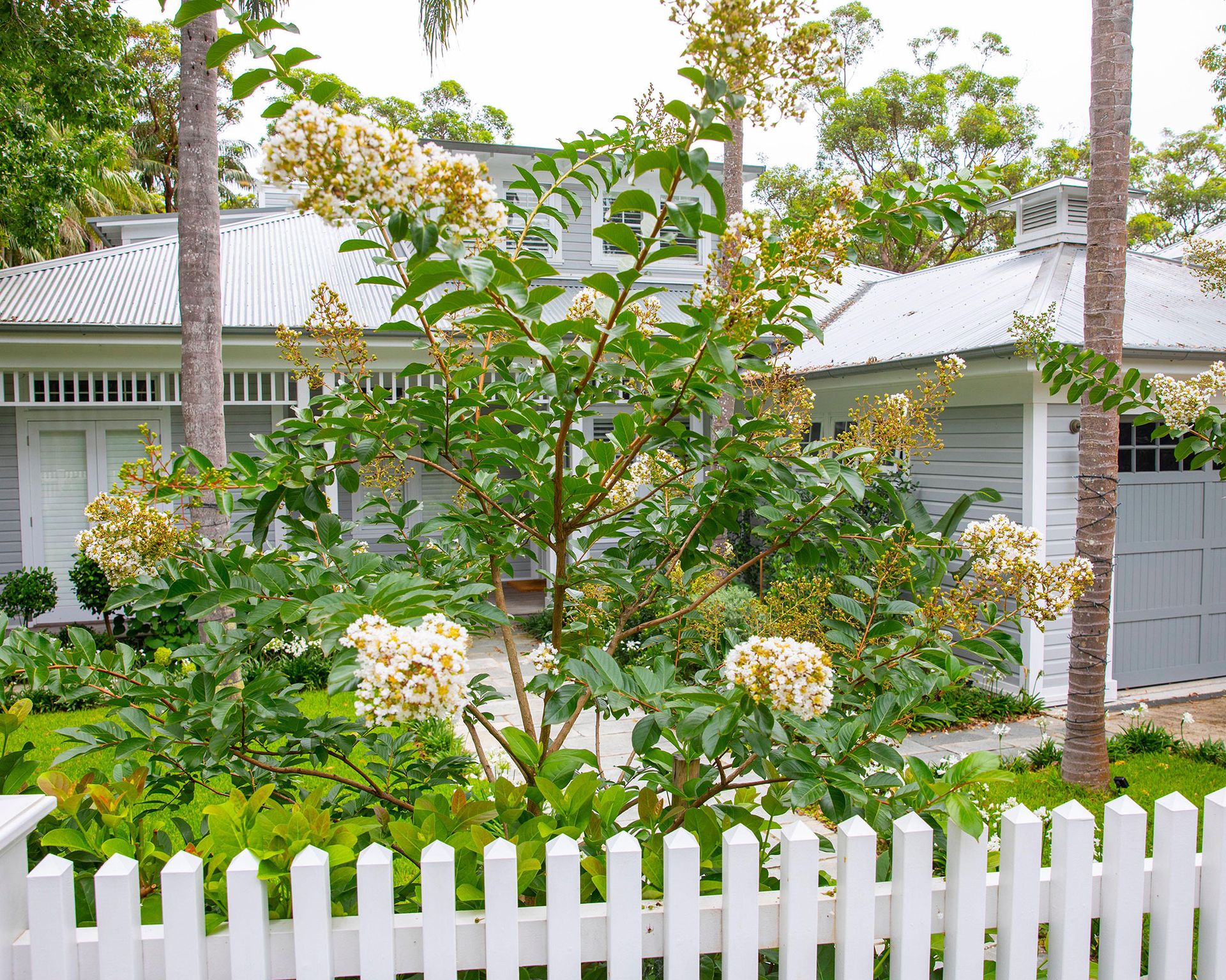 Best trees for front yards: 11 top picks for stunning curb appeal ...