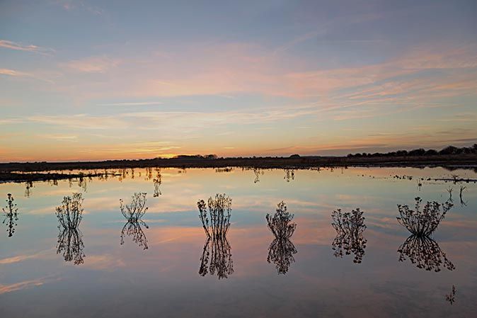 The Fens: In celebration of the magic of a landscape that’s fascinated ...