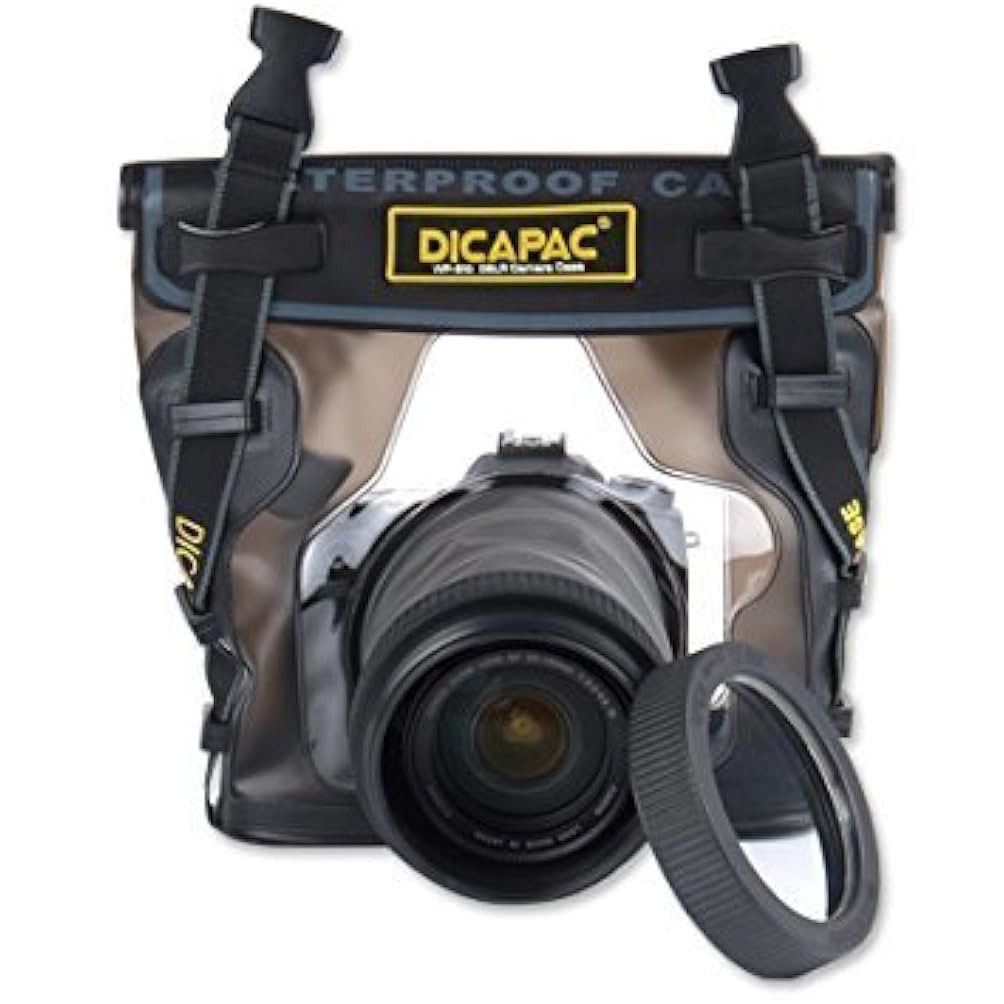 The best underwater housings for cameras and phones | Digital Camera World