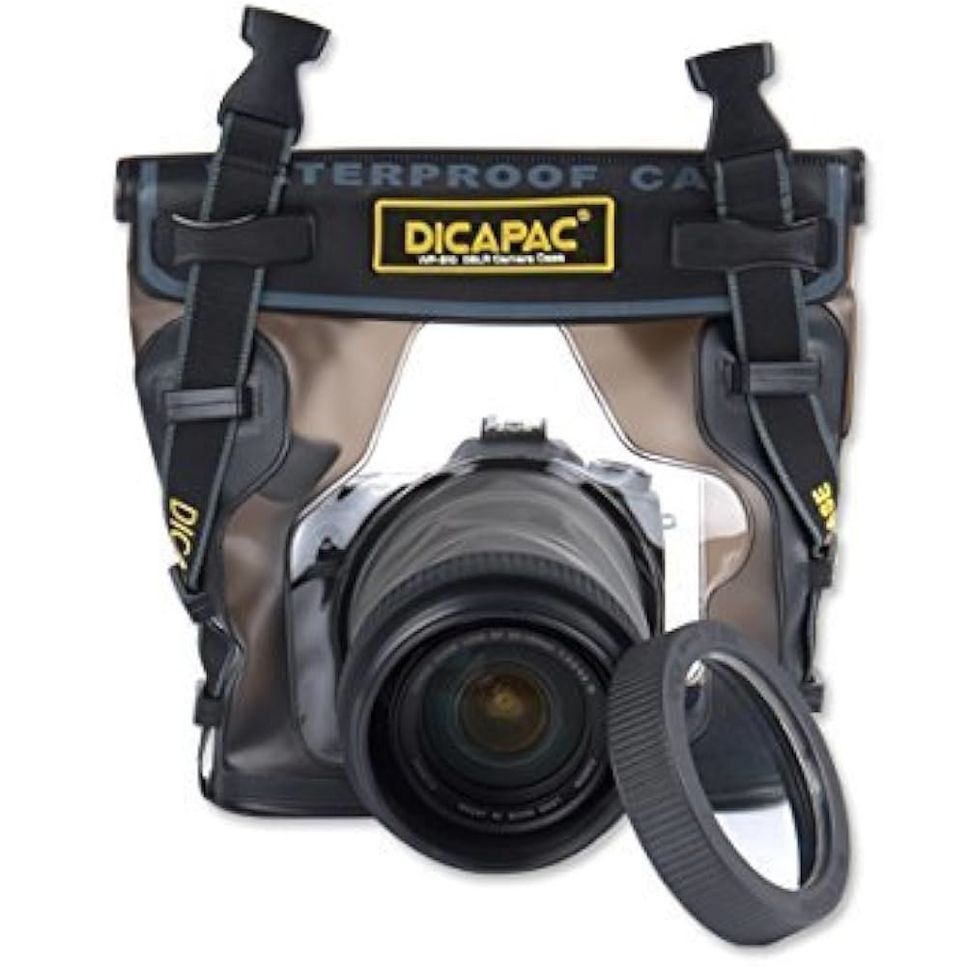 The best underwater housings for cameras and phones | Digital Camera World