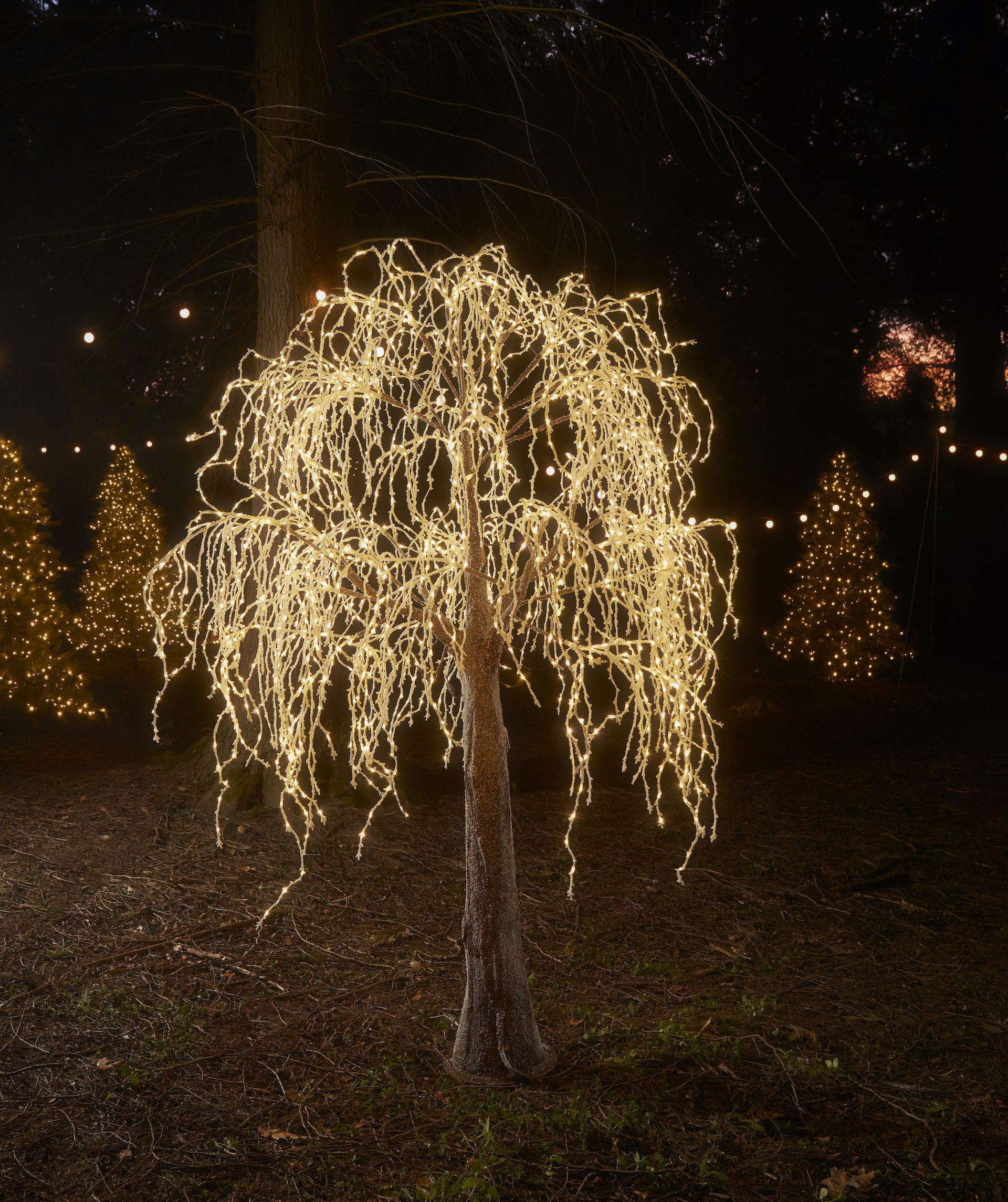 Christmas light ideas for outdoor trees | Homes and Gardens