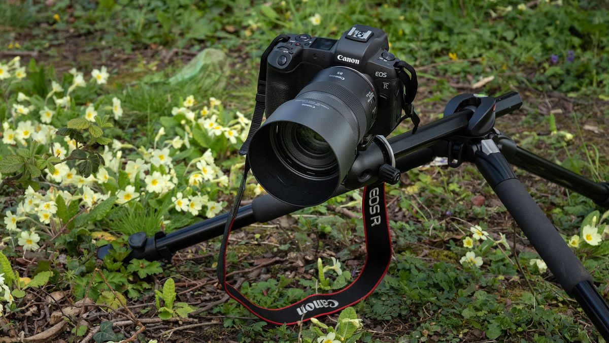 Miniature lighting: how to stop big lights from swamping tiny subjects ...