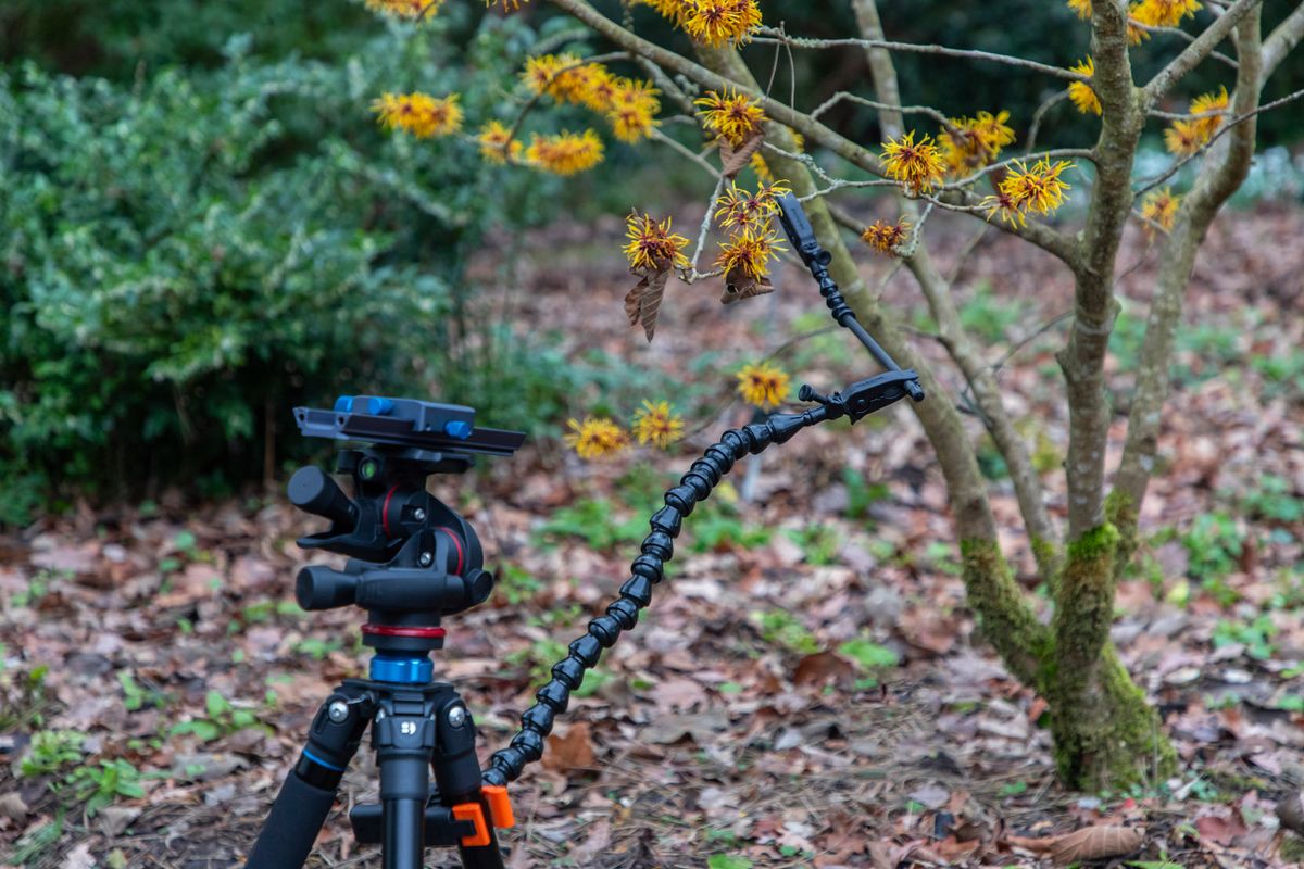 How to use a 'Plamp' for steadier macro shots at home or on location ...