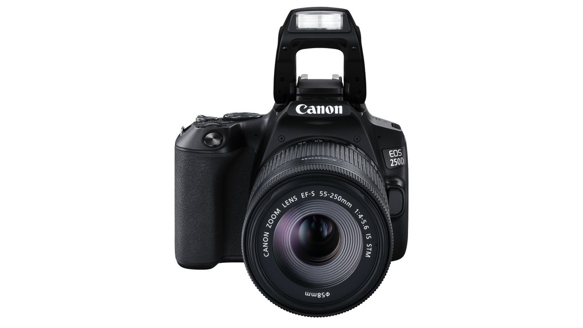 Canon EOS R100 vs Rebel SL3 / 250D | Digital Camera World
