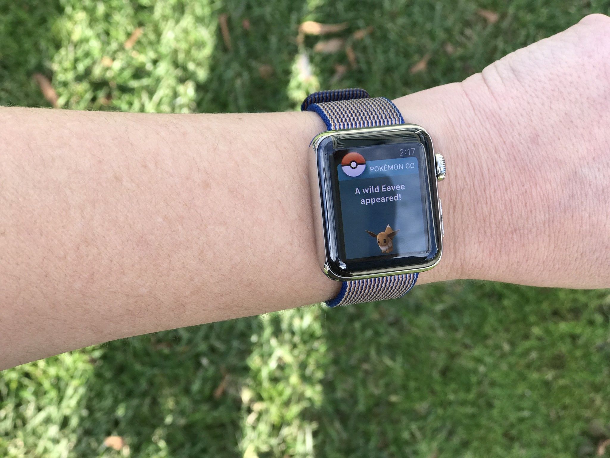 Pokémon Go for Apple Watch Guide: Tips and Tricks! | iMore