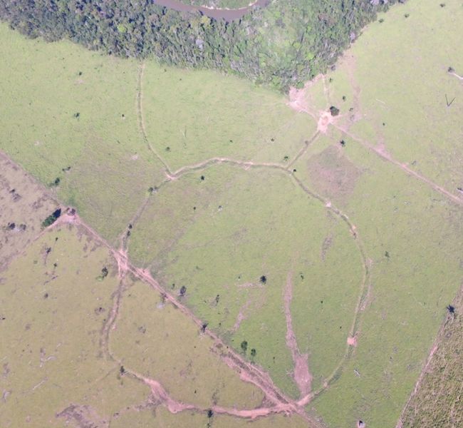 Mysterious Geoglyphs Reveal Amazon Was Densely Populated Before ...