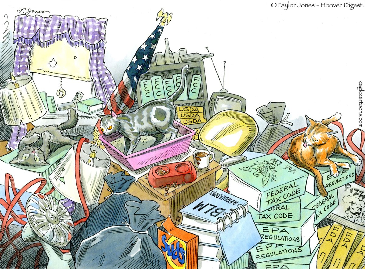 Political cartoon U.S. government over regulation hoarder | The Week