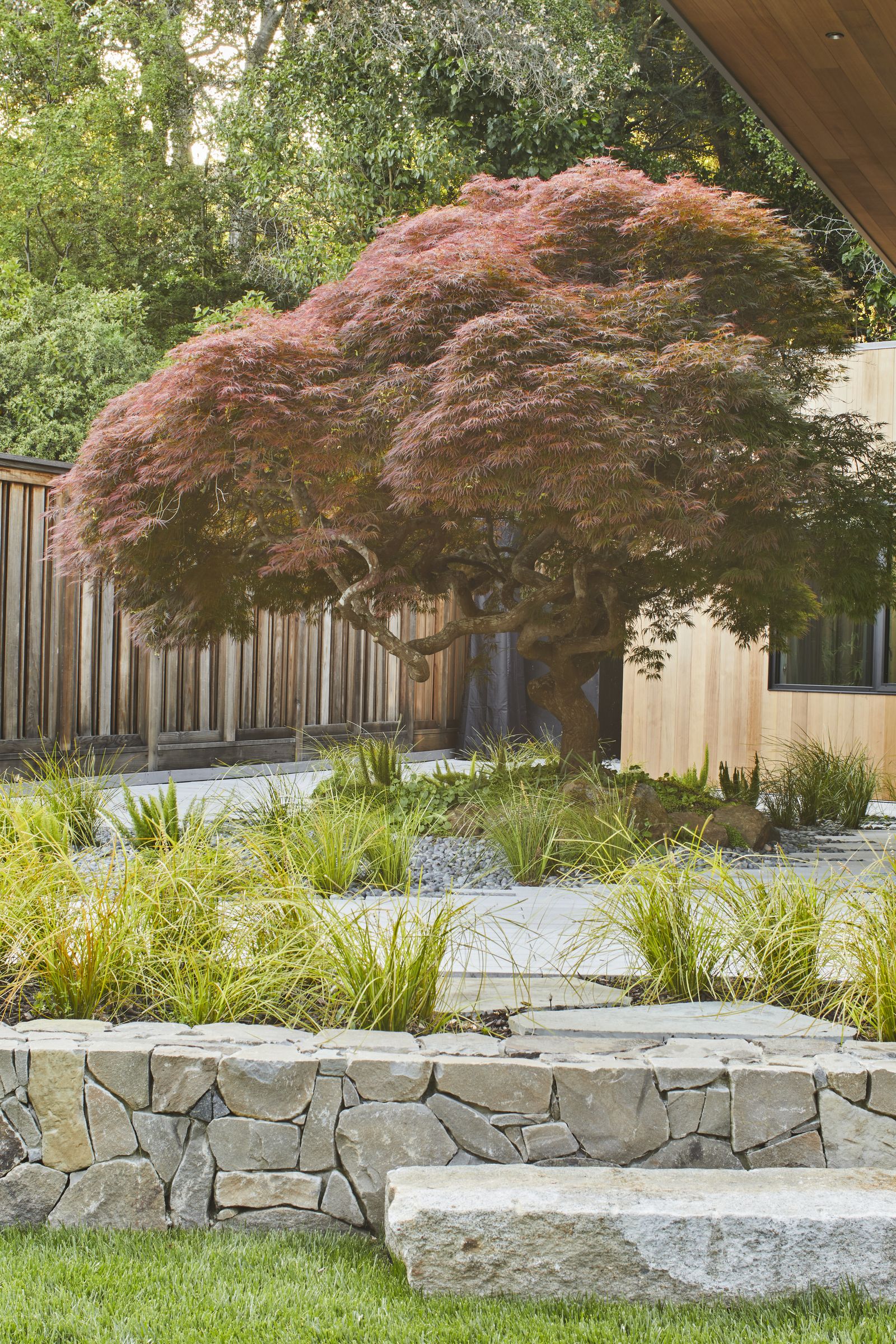 These minimalist backyards prove that 'less is more' outdoors | Livingetc