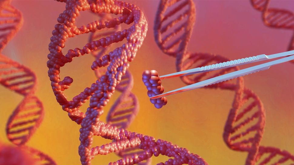 From gene therapy breakthroughs to preventable disease outbreaks: The ...