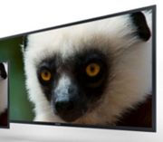 Sony demonstrates 56in 4K OLED monitor | What Hi-Fi?