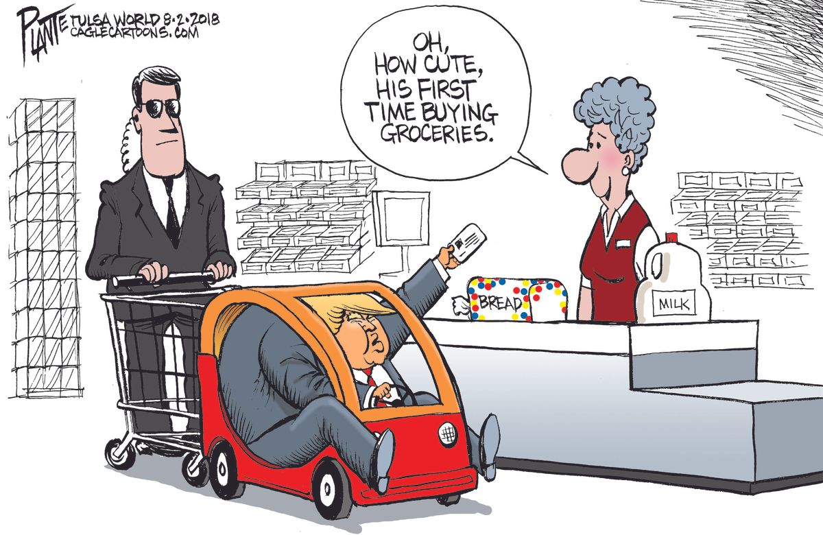 Political cartoon U.S. Trump groceries ID child voter identification ...