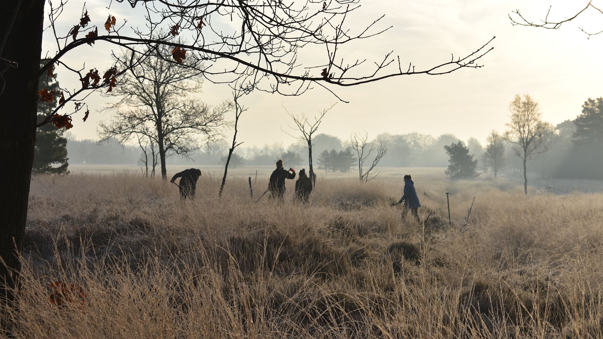 Roman army camp found in Netherlands, beyond the empire's frontier ...