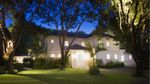 How to uplight a tree – expert methods | Homes and Gardens