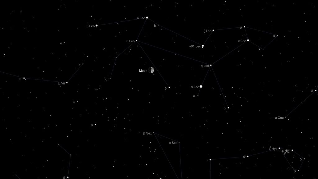 Watch the half moon of May shine by Leo the Lion tonight | Space