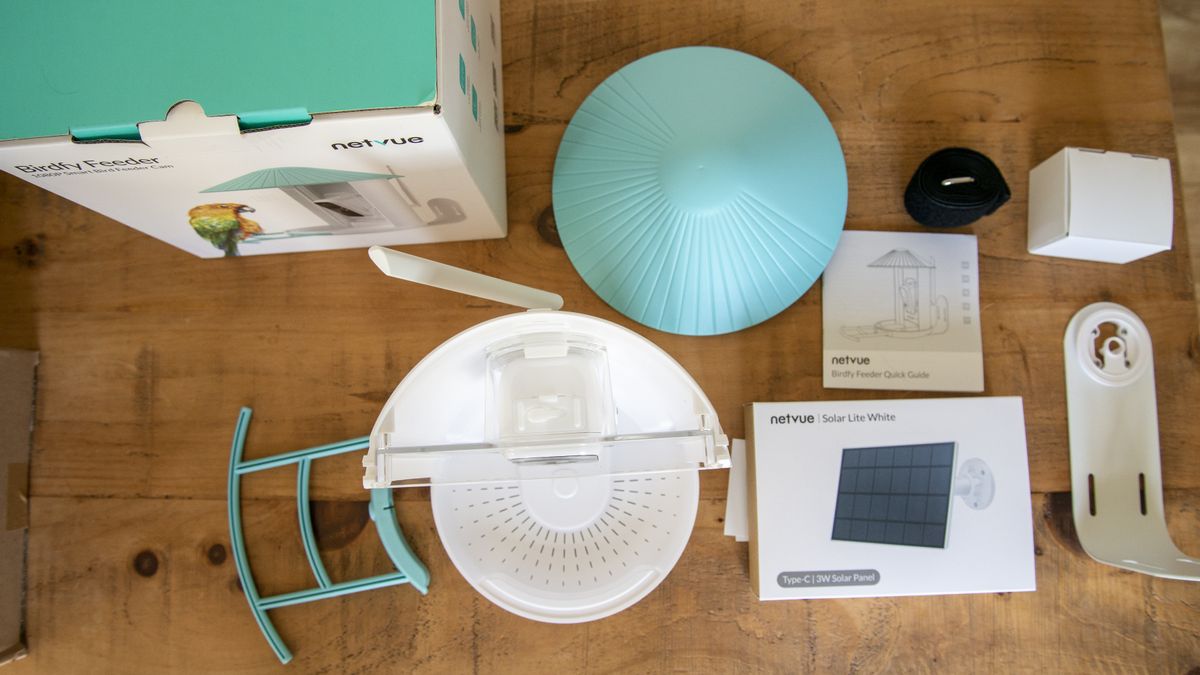 Netvue Birdfy Smart Bird Feeder Camera review: birdwatching from your ...