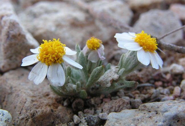 The Reality of Climate Change: 10 Myths Busted | Live Science