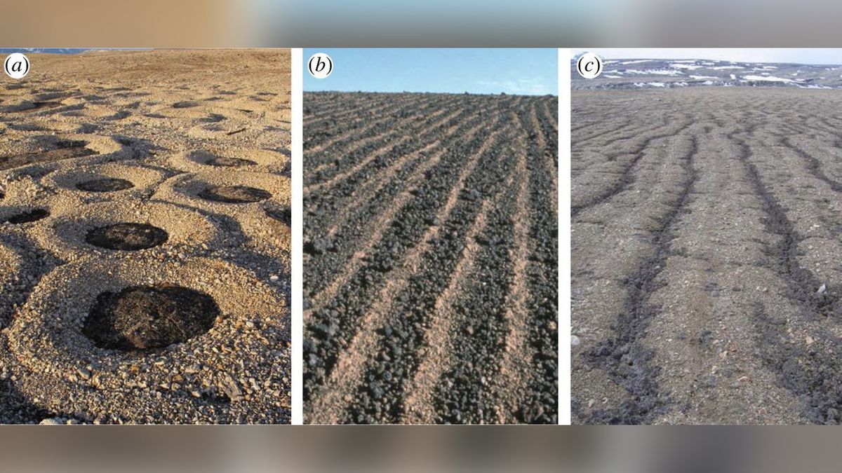 Thousands of tiny ‘ice needles’ may explain mysterious stone patterns ...