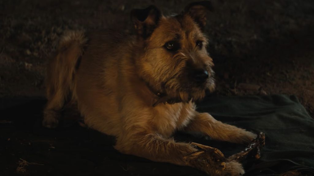 Finch Ending Explained: How Tom Hanks’ Robotic Odyssey Fetched Its ...