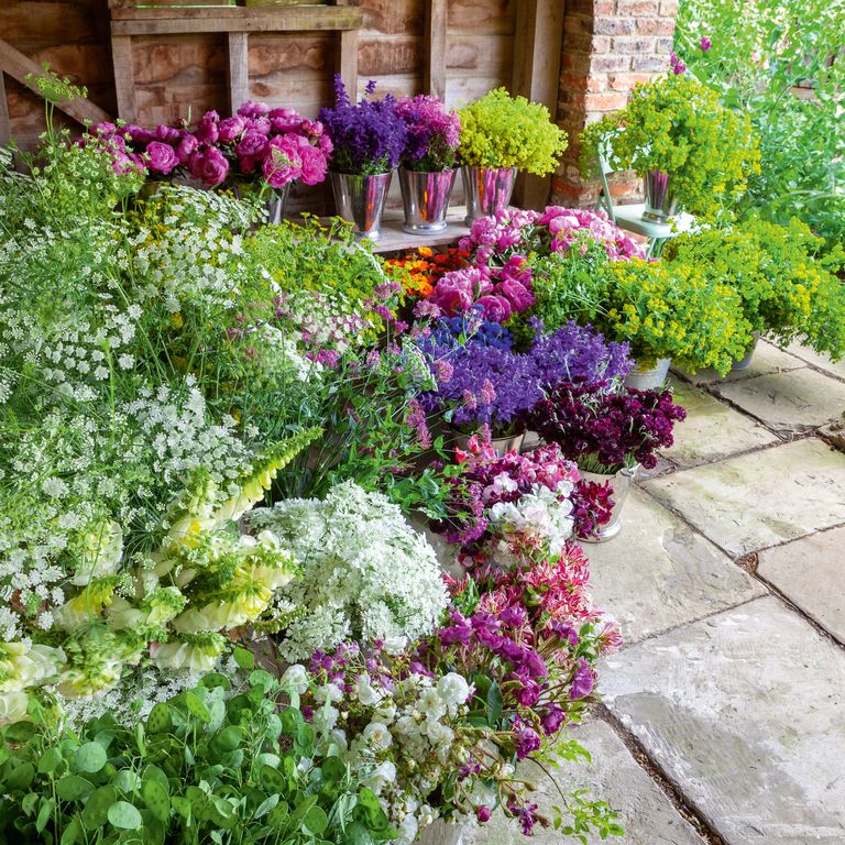 Sarah Raven's guide to growing a cut flower patch | Ideal Home
