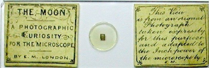 Nature Under Glass: Gallery of Victorian Microscope Slides | Live Science