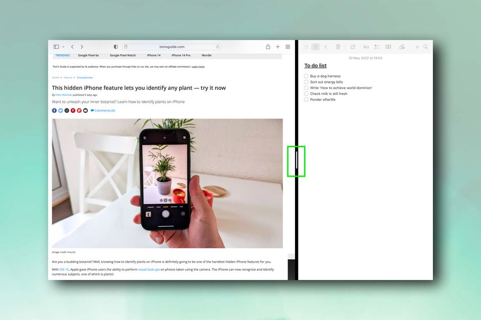 How to split your screen on Mac | Tom's Guide