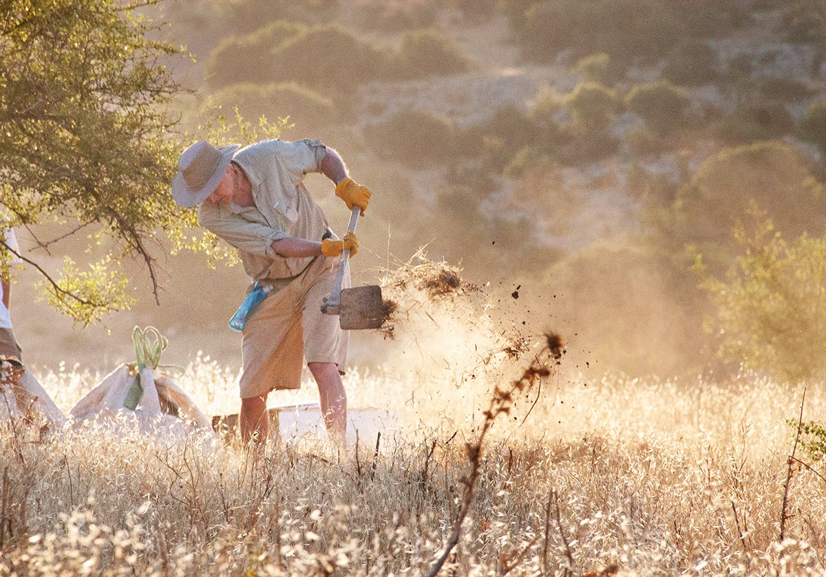 Photos: Unusual Mosaics Decorated Ancient Synagogue in Israel | Live ...