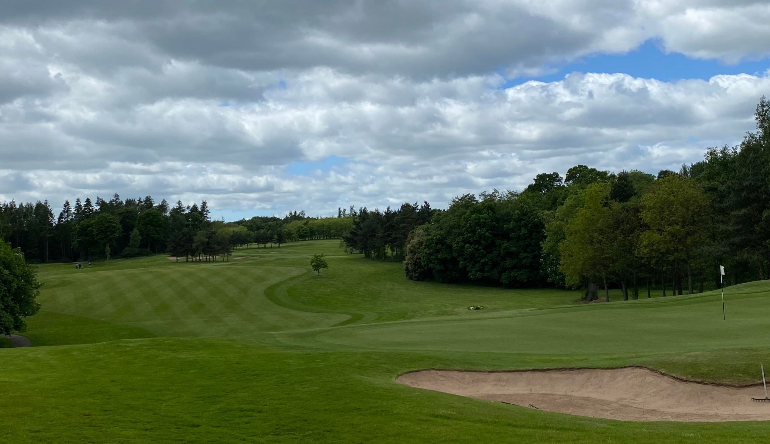 Wynyard Golf Club Wellington Course Review | Golf Monthly