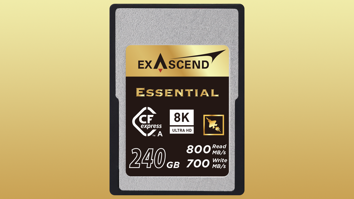 CFexpress Type A cards get a new capacity king, but is it large enough ...