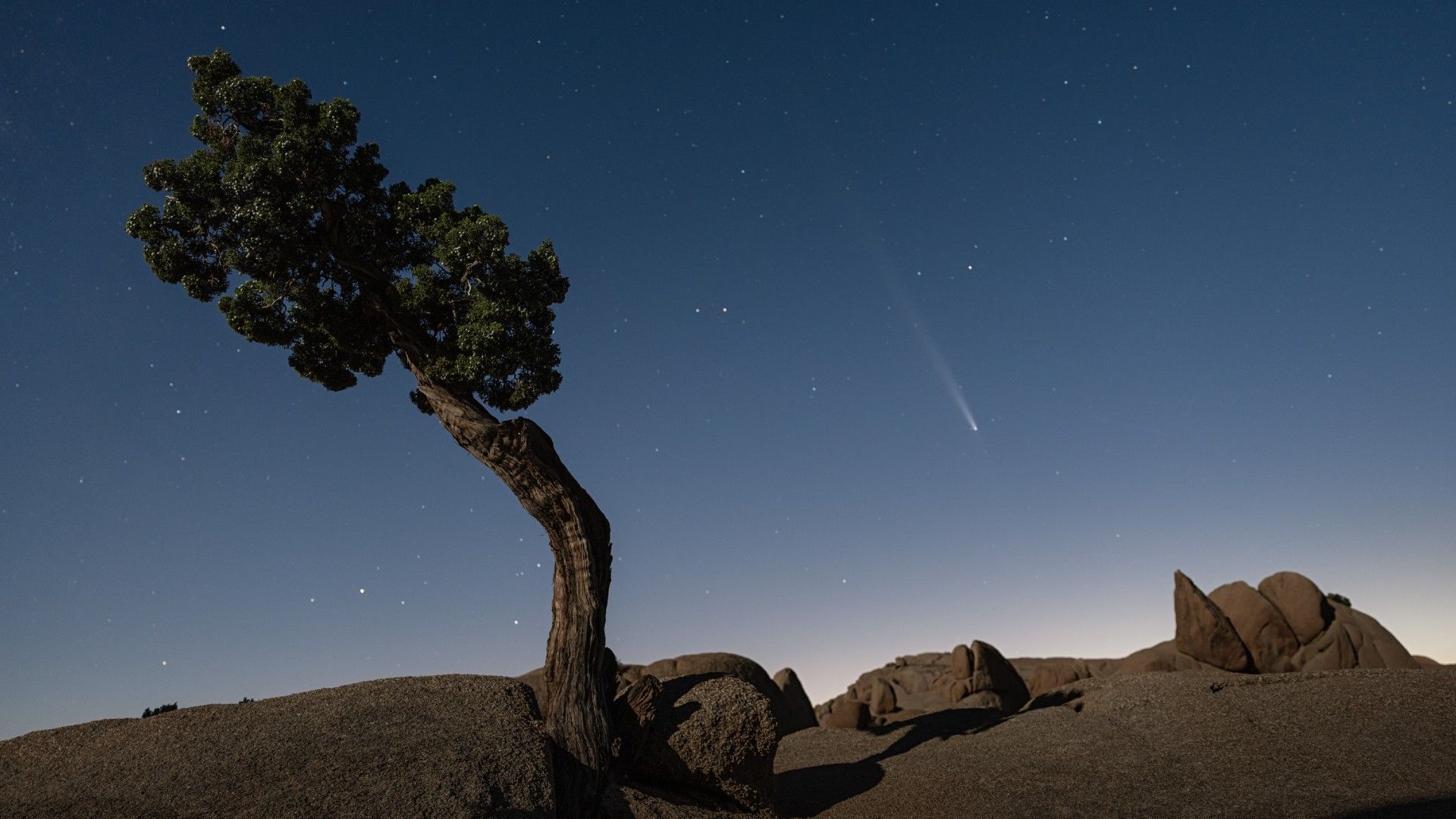 See the 'comet of the century' light up the night sky in breathtaking ...