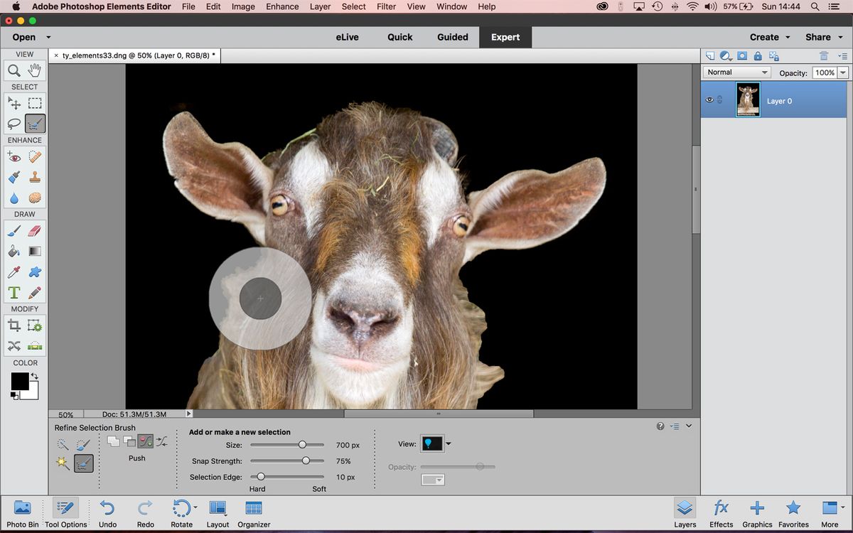 How to use Photoshop Elements Refine Selection Brush tool | Digital ...