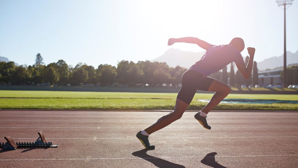 Fast-twitch vs slow-twitch muscle fibers: What are the different muscle ...