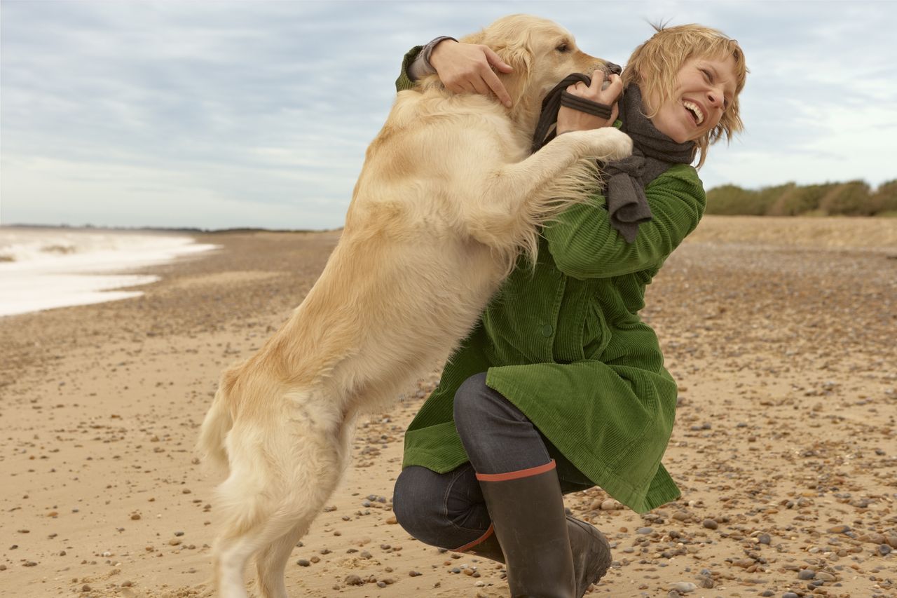 How to stop a dog chasing cars: Six tips from top dog-trainer Ben ...