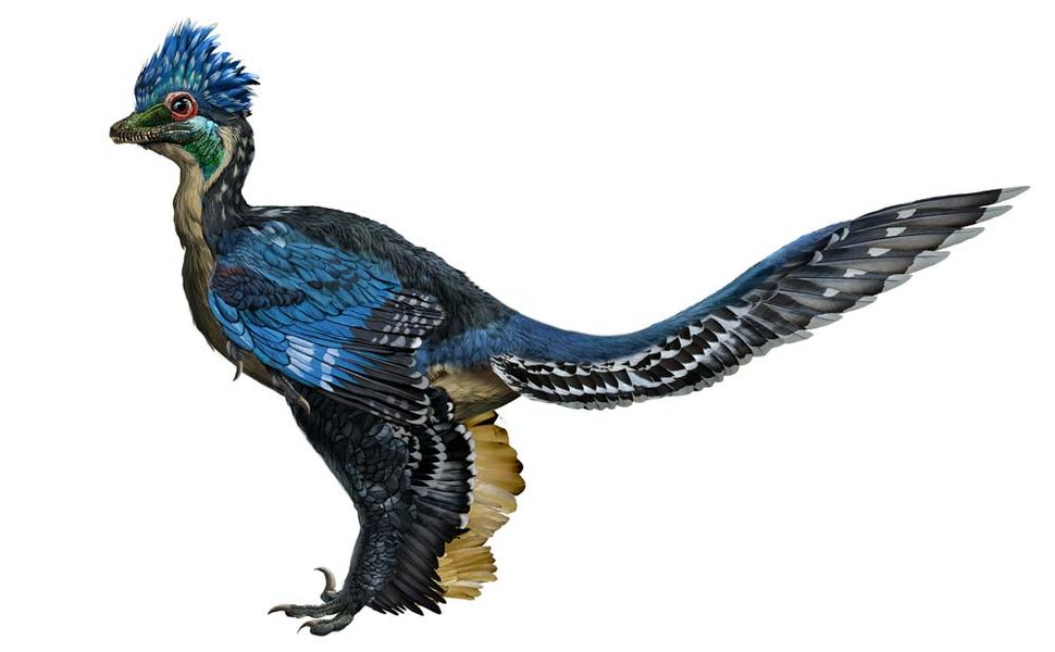 Photos: Birds Evolved from Dinosaurs, Museum Exhibit Shows: Page 4 ...