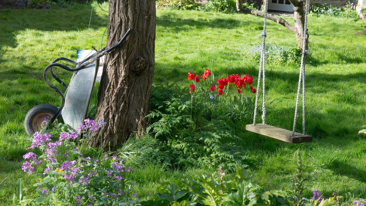 How to hang a tree swing: advice for safely securing a swing from a ...