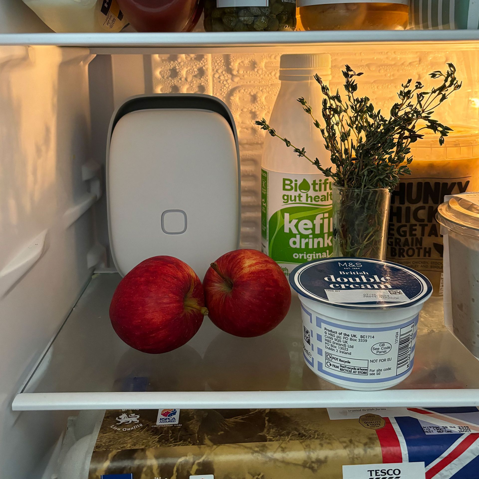 The Shelfy fridge purifier fixed all my bad fridge habits | Ideal Home