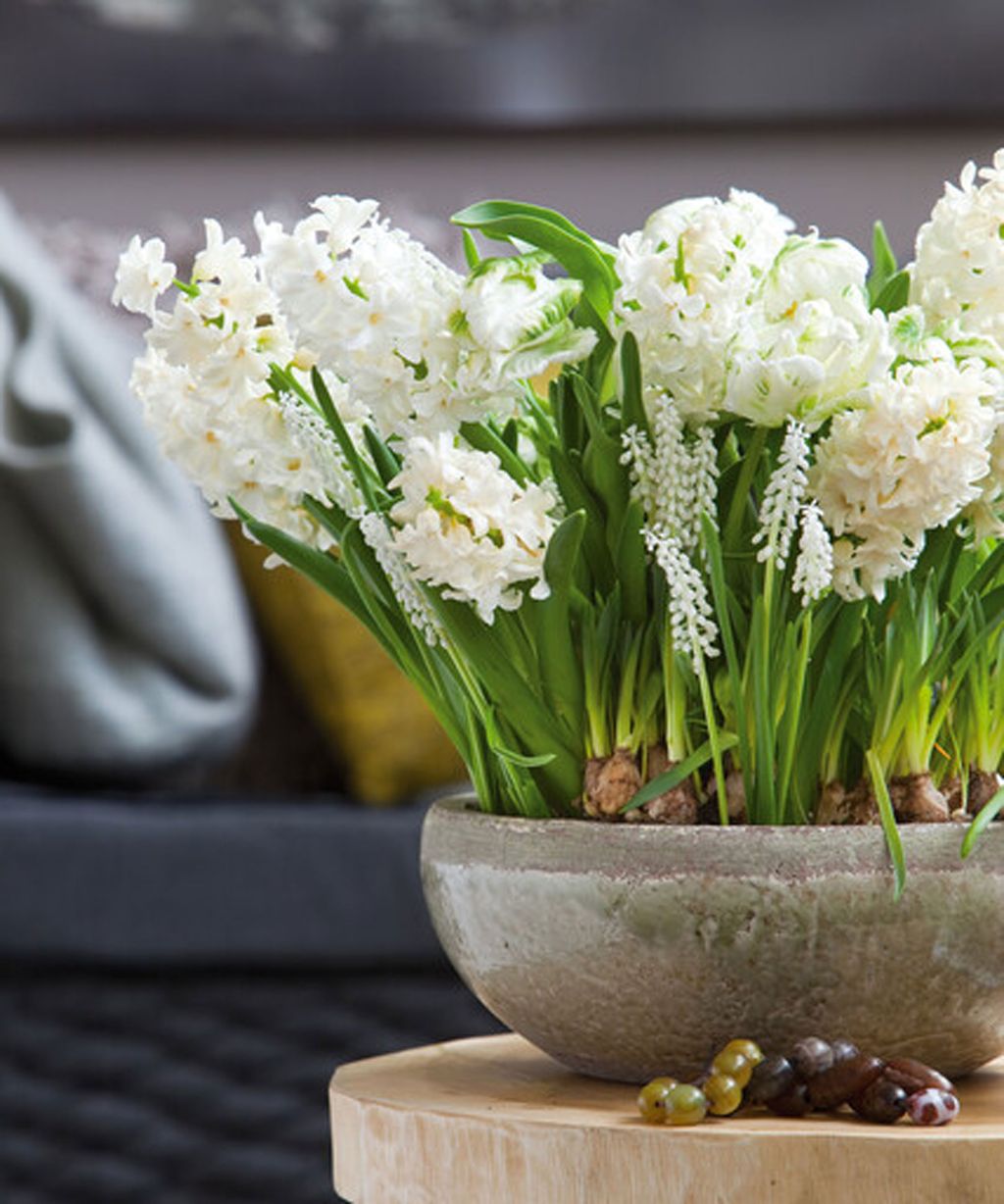 6 Best Cut Flowers for a Spring Scented Floral Arrangement | Livingetc