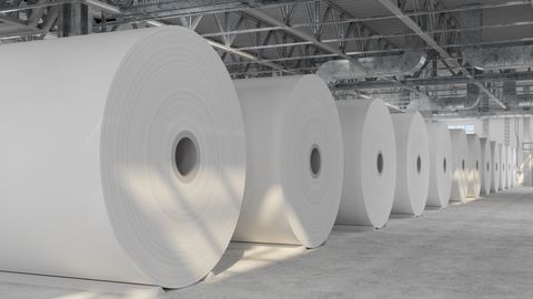 How is paper made from trees? | Live Science