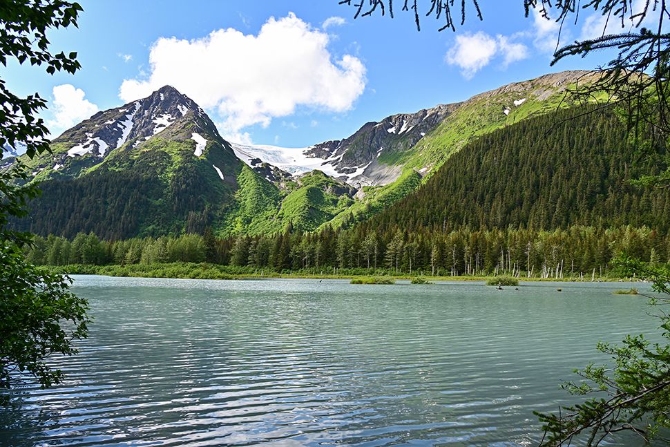 I went on a tour of Alaska to improve my photography. Here's what I ...