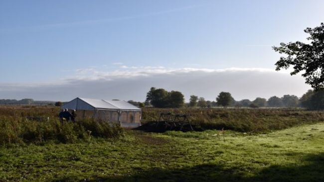 Human 'bog bones' discovered at Stone Age campsite in Germany | Live ...