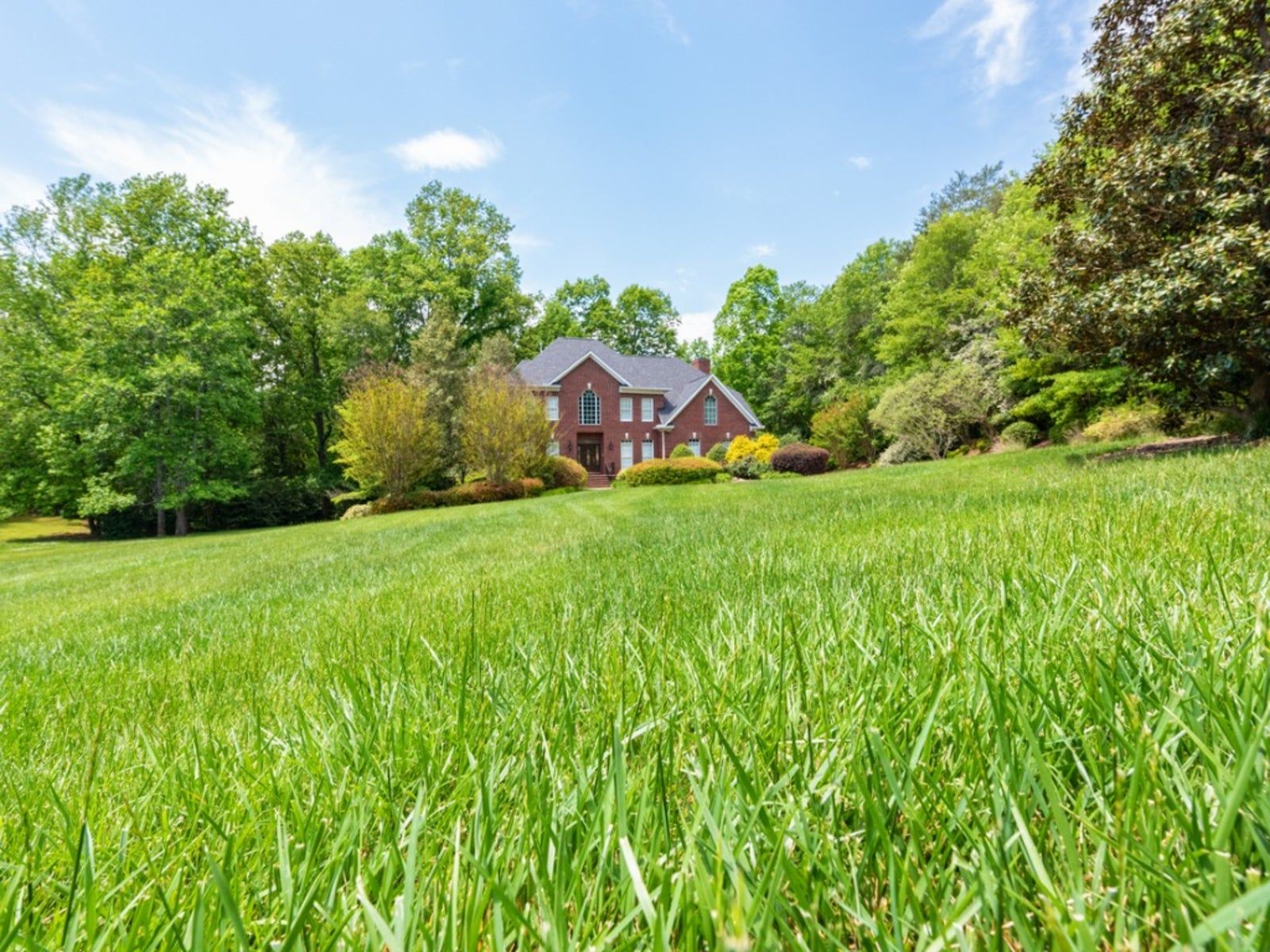 Cool Season Grass Identifiers - Difference Between Warm And Cool Season ...