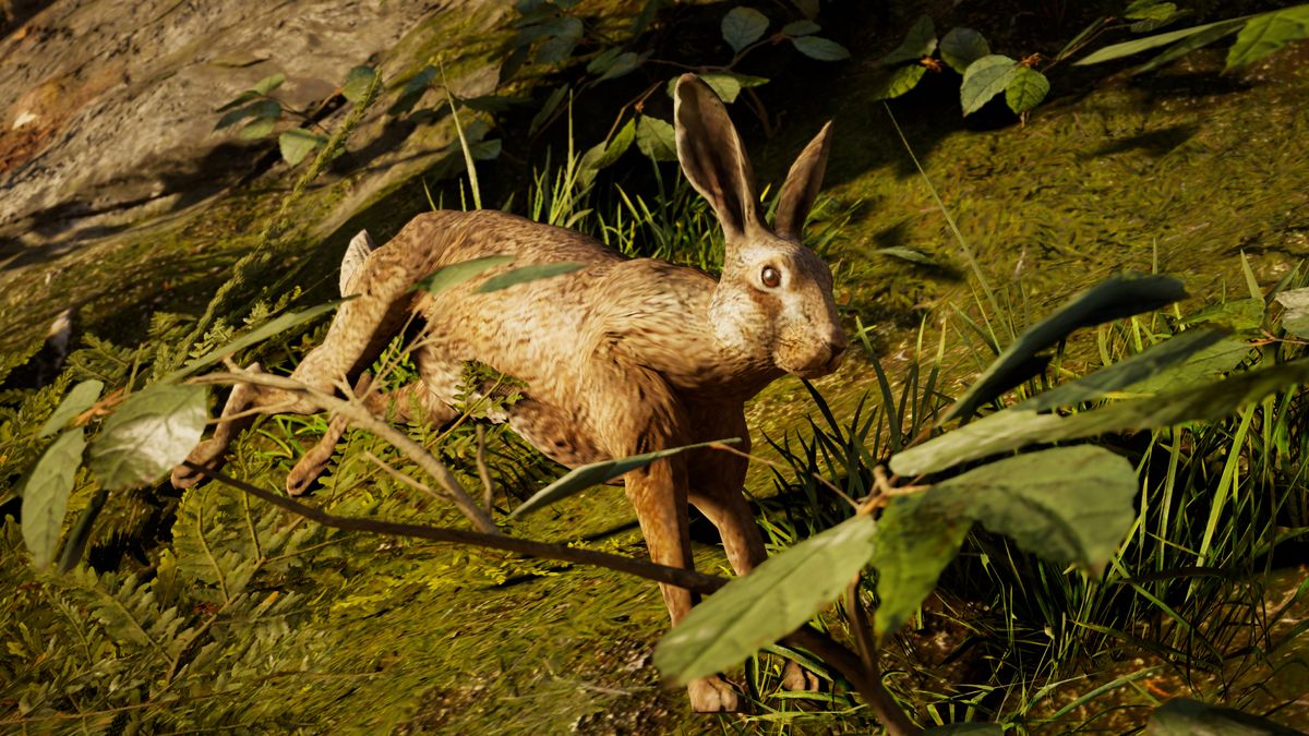Every animal I've seen in Assassin's Creed Valhalla, rated | PC Gamer