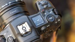 25 common Photography problems and how to fix them | Digital Camera World